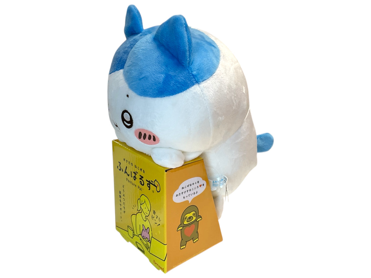 Posture Pal – Ellicor